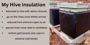 Beehive Insulation 101: Is it Needed? - Carolina Honeybees