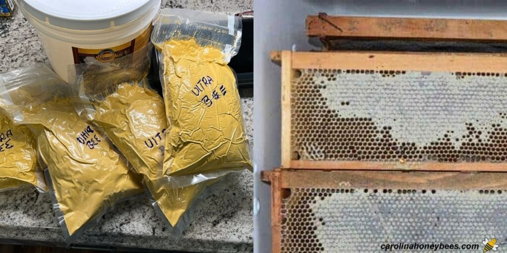 How to Store Beekeeping Equipment Over Winter- Carolina Honeybees