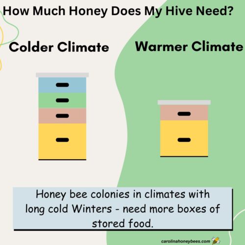 How to Winterize a Beehive for Maximum Survival- Carolina Honeybees