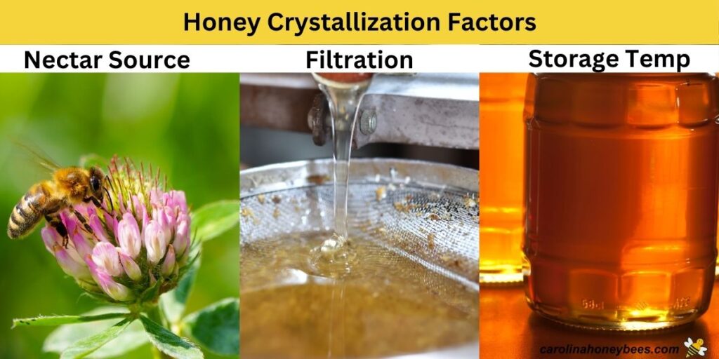Why Does Honey Crystallize & What it Means - Carolina Honeybees