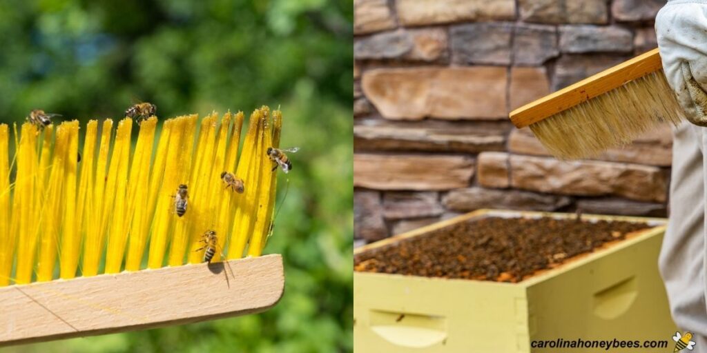 Do You Need a Bee Brush? Pros, Cons, and How to Use One - Carolina ...