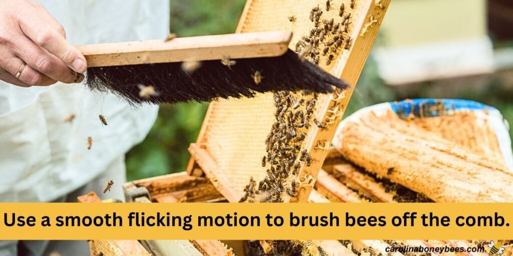 Do You Need a Bee Brush? Pros, Cons, and How to Use One - Carolina ...