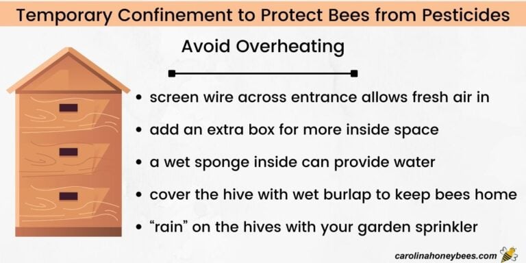 Bees and Pesticides: Protecting Your Beehives - Carolina Honeybees