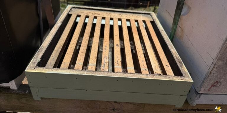 Slatted Racks for Beehives: Benefits and How to Use Them - Carolina ...
