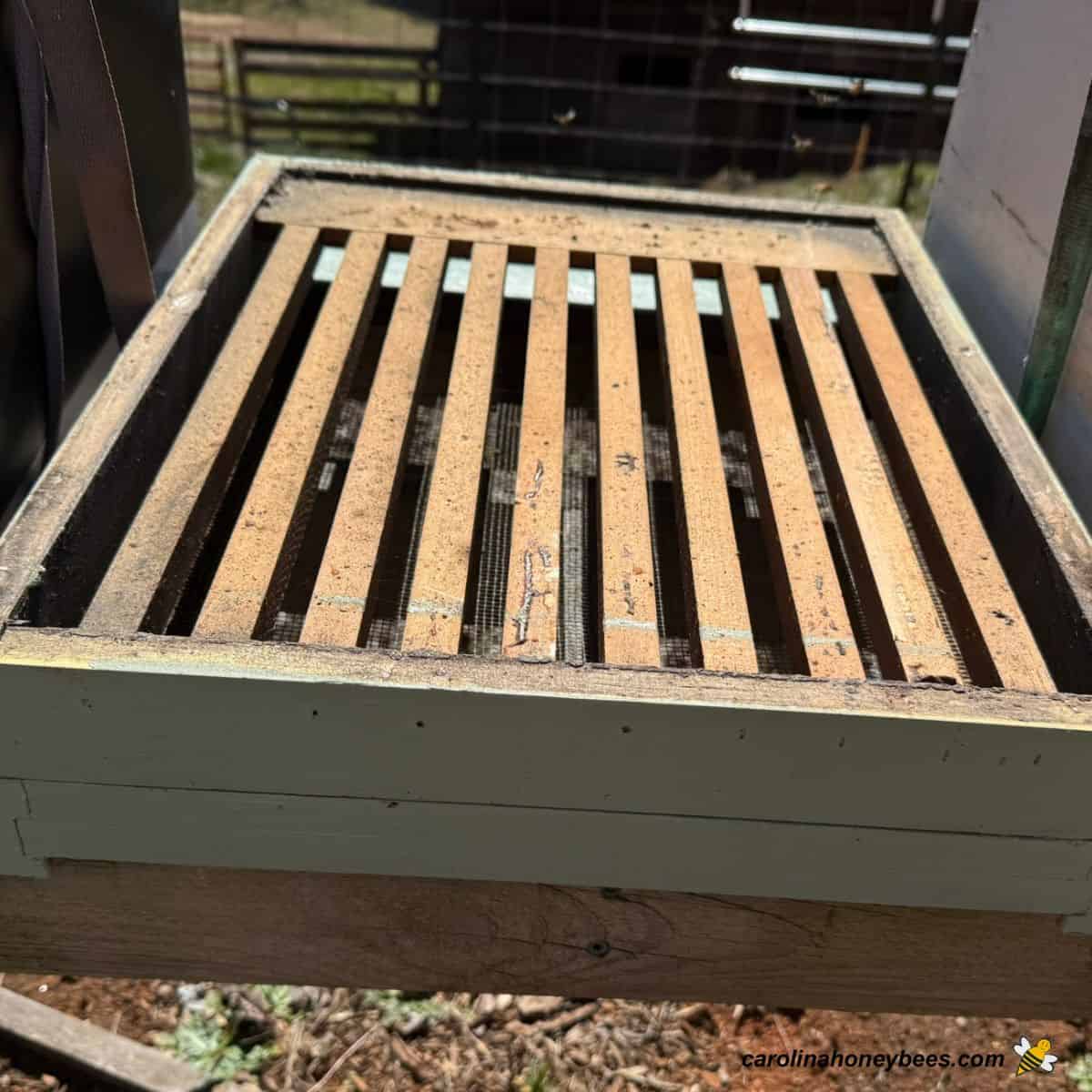 Slatted Racks for Beehives: Benefits and How to Use Them - Carolina ...