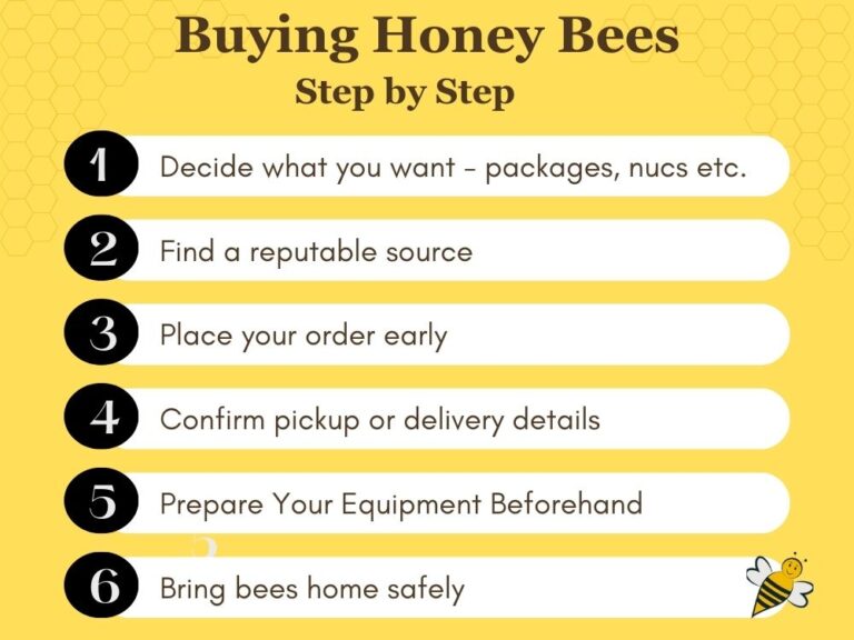 How to Buy Honey Bees: A Beginner’s Guide to Getting Started- Carolina ...