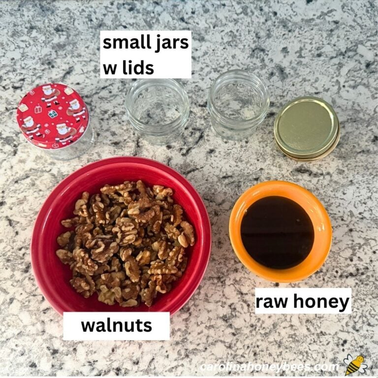 Honey Walnuts: The Easiest Way to Preserve Nuts in Raw Honey- Carolina ...