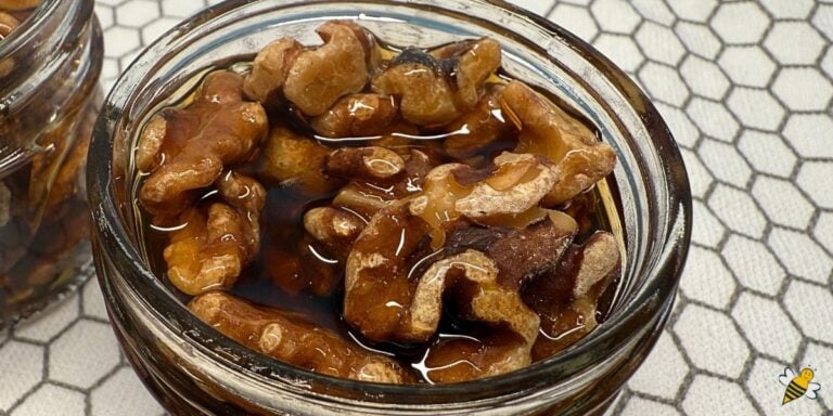 Honey Walnuts: The Easiest Way to Preserve Nuts in Raw Honey- Carolina ...