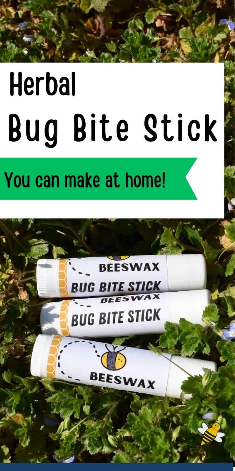 DIY Bug Bite Relief Stick with Beeswax (Easy Herbal Recipe)- Carolina ...